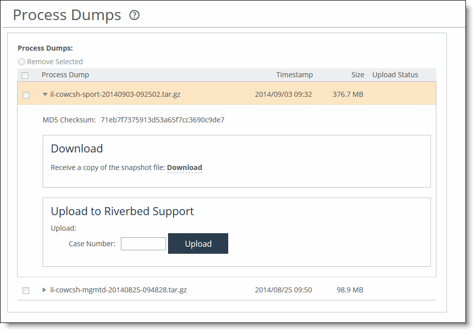 Viewing process dumps