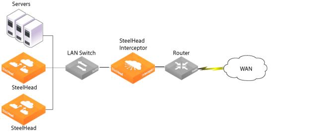 Installing the SteelHead Interceptor